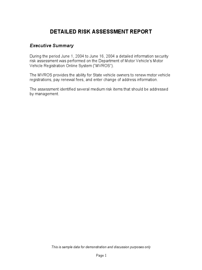 Detailed Risk Assessment Report: Executive Summary