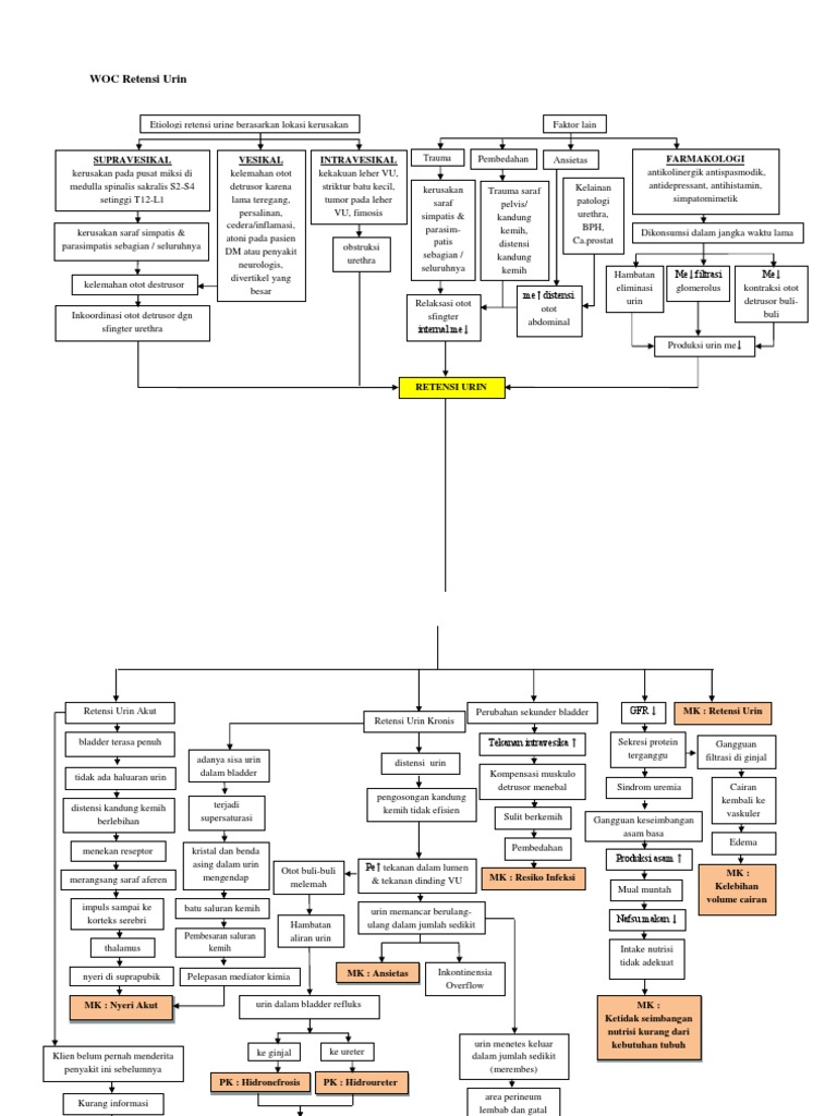 WOC Retensi Urin.docx