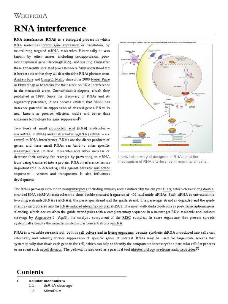 RNA Interference | PDF | Rna Interference | Micro Rna
