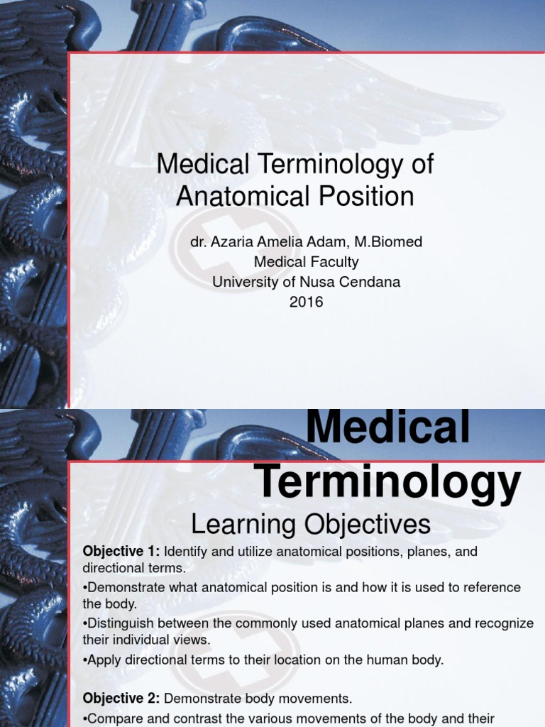 Understanding Anatomical Terminology | PDF | Anatomical Terms Of Motion ...