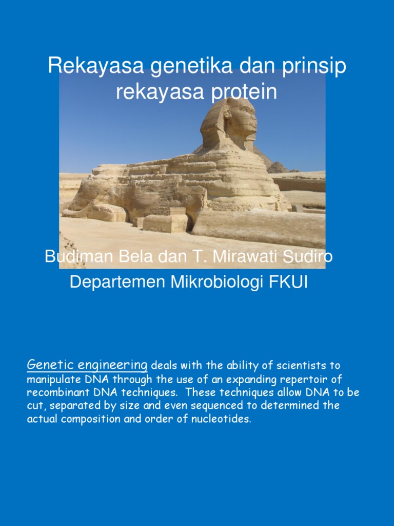 Rekayasa Genetika Dan Prinsip Rekayasa Protein: Budiman Bela Dan T ...