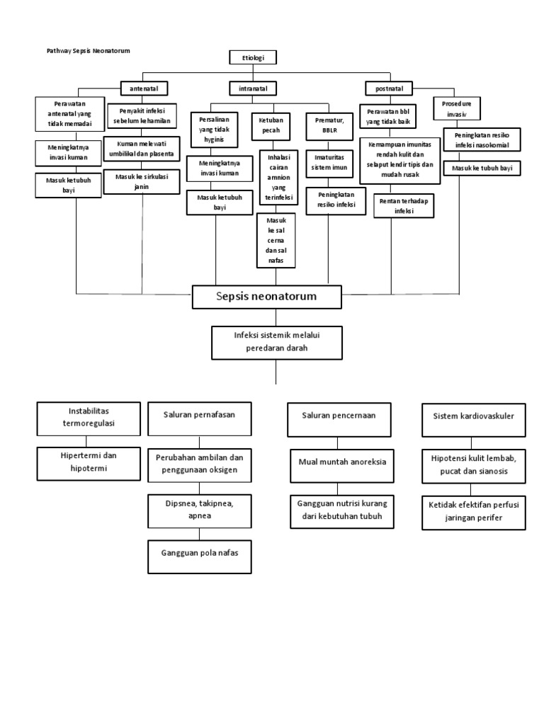 Pathway Sepsis Neonatorum