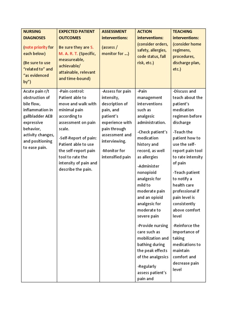 Care Plan | PDF | Analgesic | Pain