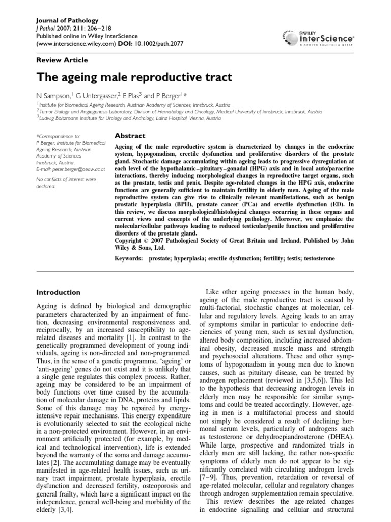 The Ageing Male Reproductive Tract | PDF | Luteinizing Hormone ...