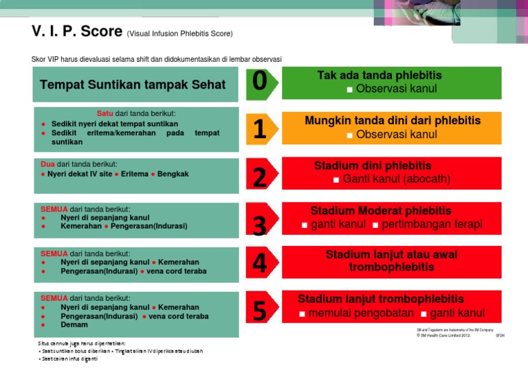 Vip Skor Poster | PDF