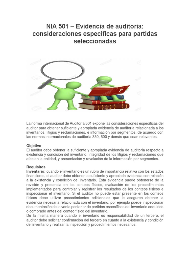 Resumen Nia 501 | PDF | Contralor | Auditoría