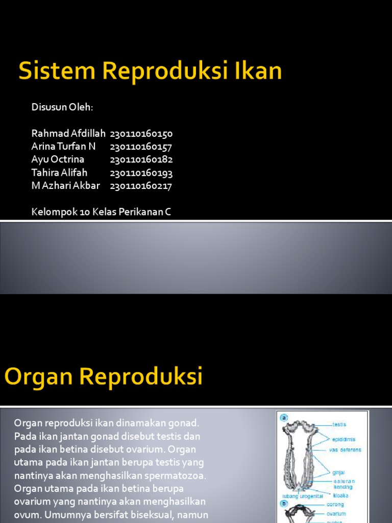 Mekanisme Reproduksi Ikan dan Gonad | PDF | Kesehatan Holistik | Griya ...