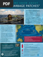 Coastal Clean Up Form | PDF | Nature