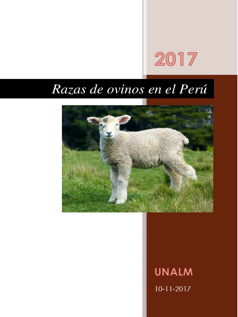 Principales razas de ovinos en Perú | PDF | Oveja | Lana