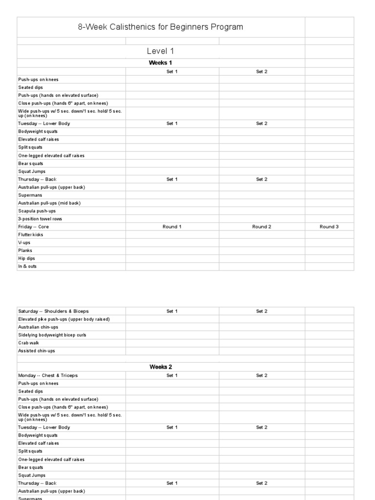 Calisthenics For Beginners Workout Sheets | PDF | Physical Exercise ...