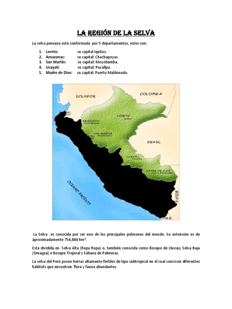 Mapa y Departamentos de la Selva Peruana | PDF | río Amazonas | Selva