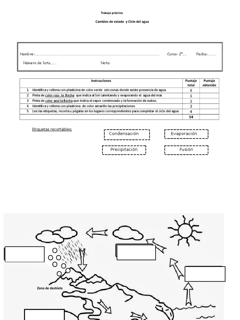 Trabajo Practico Ciclo Del Agua | PDF
