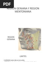 Anatomía y Límites de la Región Maseterina | PDF | Cabeza y cuello ...