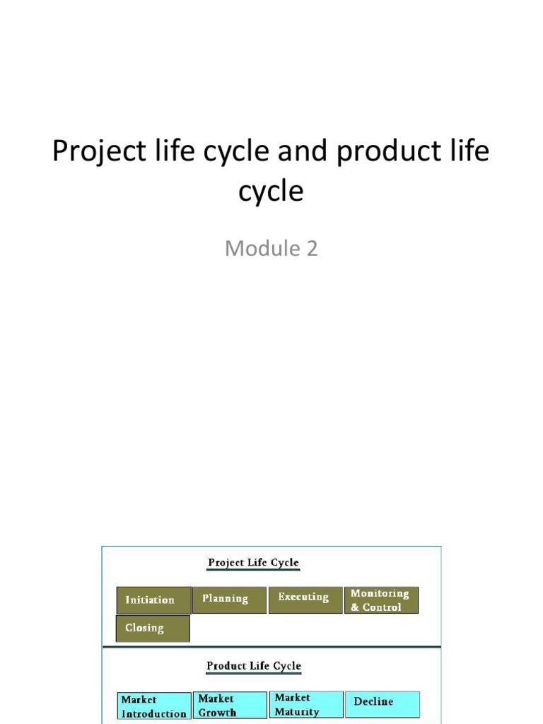 Project Life Cycle and Product Life Cycle - Module2 | PDF | Product ...