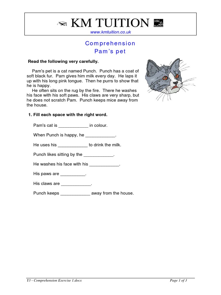 Y3 - Comprehension Exercise 1 | PDF | Nature