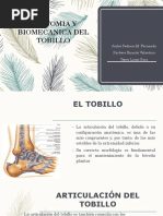 Miotomas - Definición y Pruebas - Kenhub | PDF | Codo | Neuroanatomía