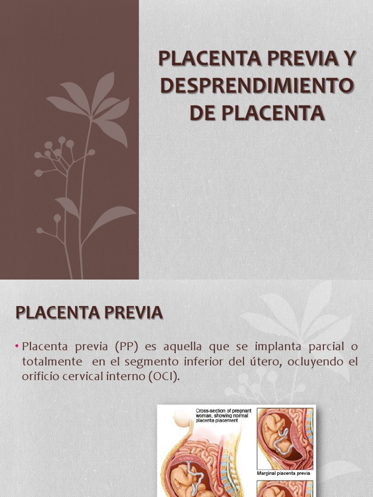 Placenta Previa y Desprendimiento Prematuro de Placenta Normo Incerta ...