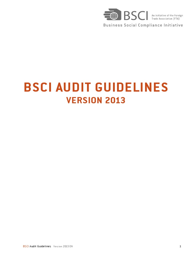 BSCI Audit Guidelines 2013 EN | PDF | Auditor's Report | International ...