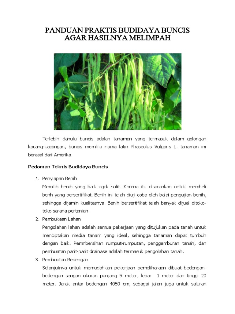 Panduan Budidaya Tanaman Buncis | PDF