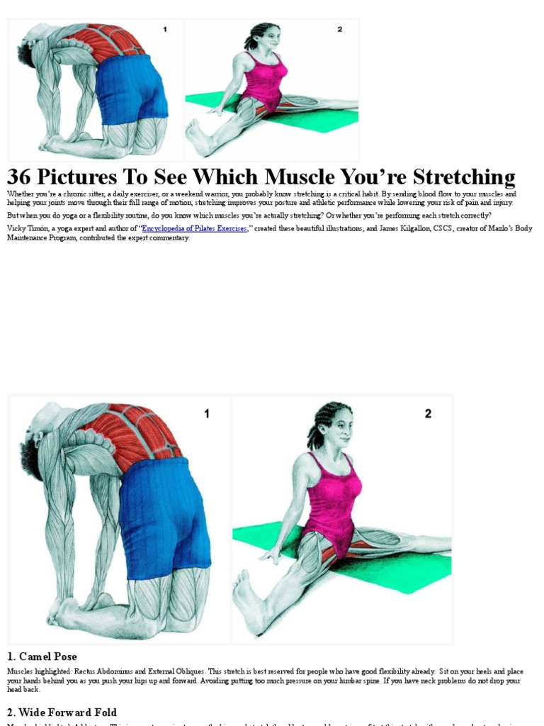 36 Pictures To See Which Muscle You'Re Stretching | PDF | Anatomical ...