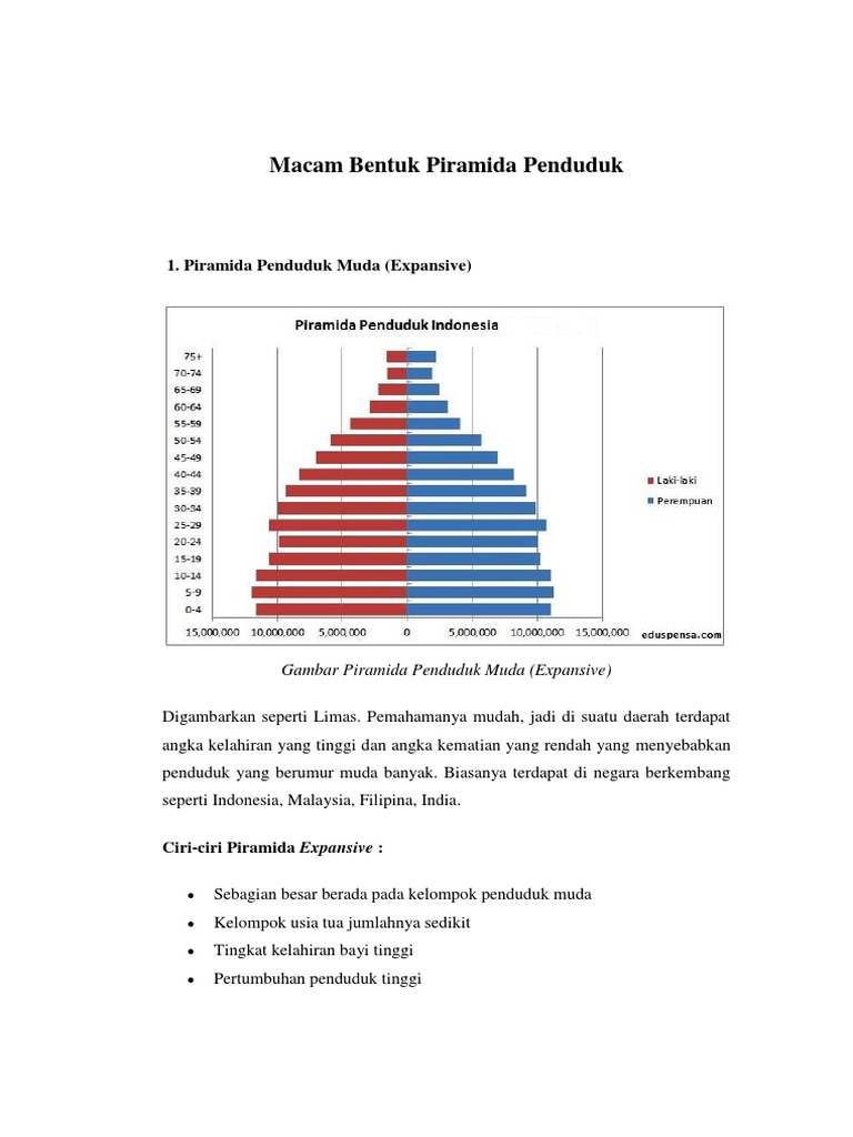 Macam Bentuk Piramida Penduduk | PDF