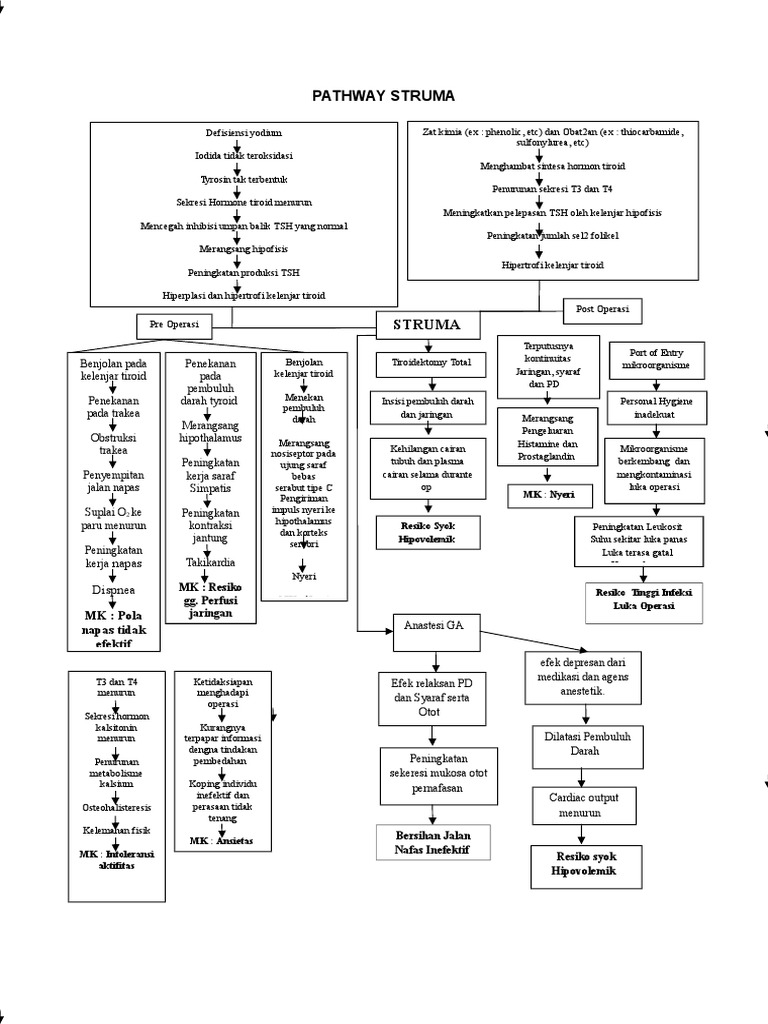 Pathway Struma Lagi | PDF