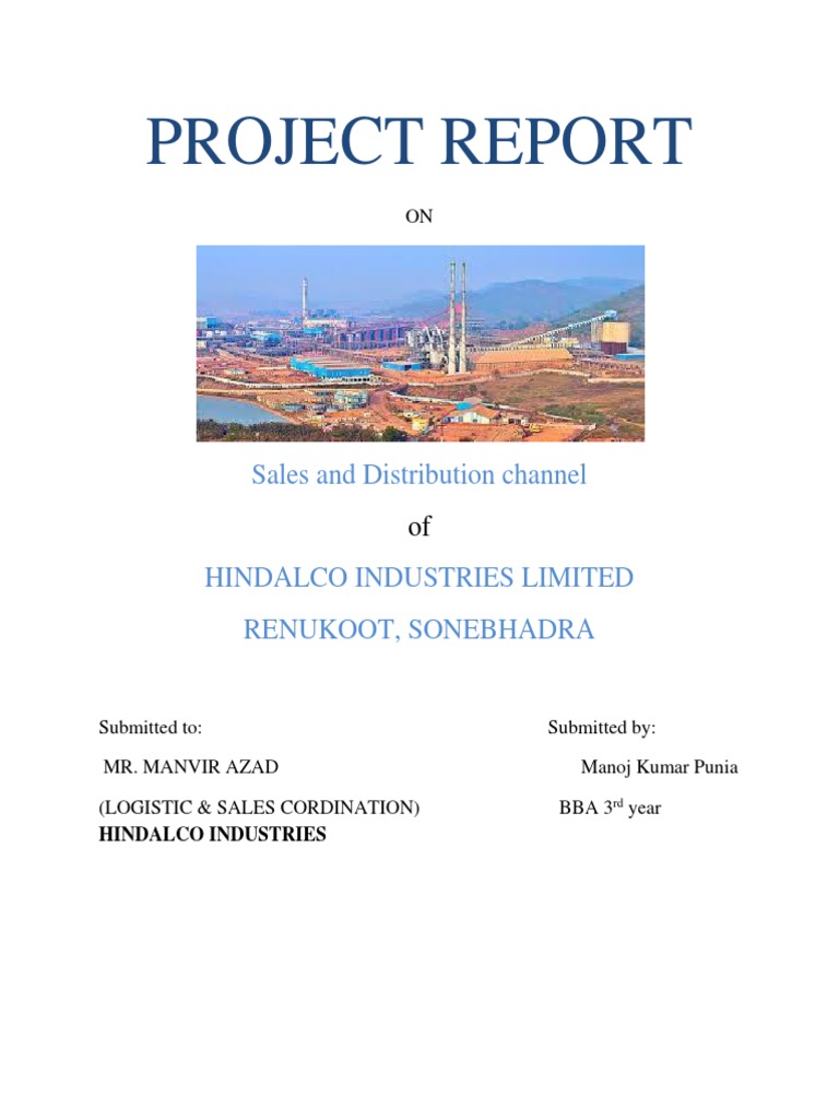 Project Report: Sales and Distribution Channel | PDF | Business