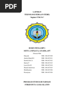 Injeksi Vial Dexametason | PDF