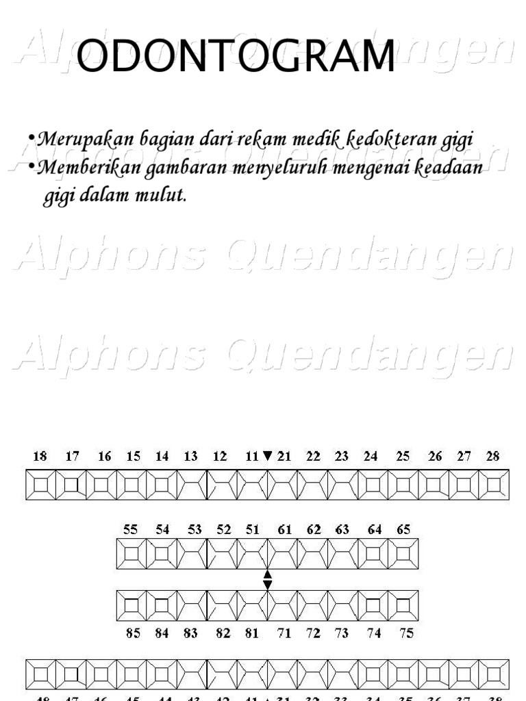 Dental Odontogram Guide | PDF | Dental Anatomy | Medical Specialties