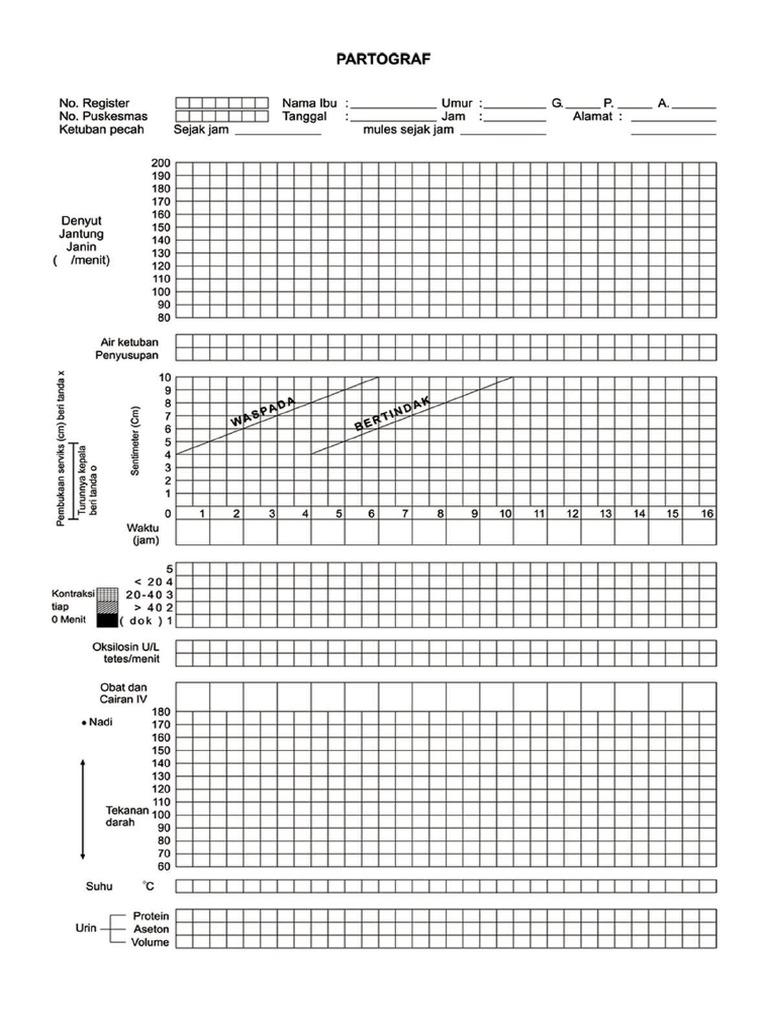 Form Partograf.doc