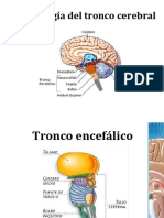 Sindromes Alternos Del Tallo | PDF | Desórdenes neurológicos ...