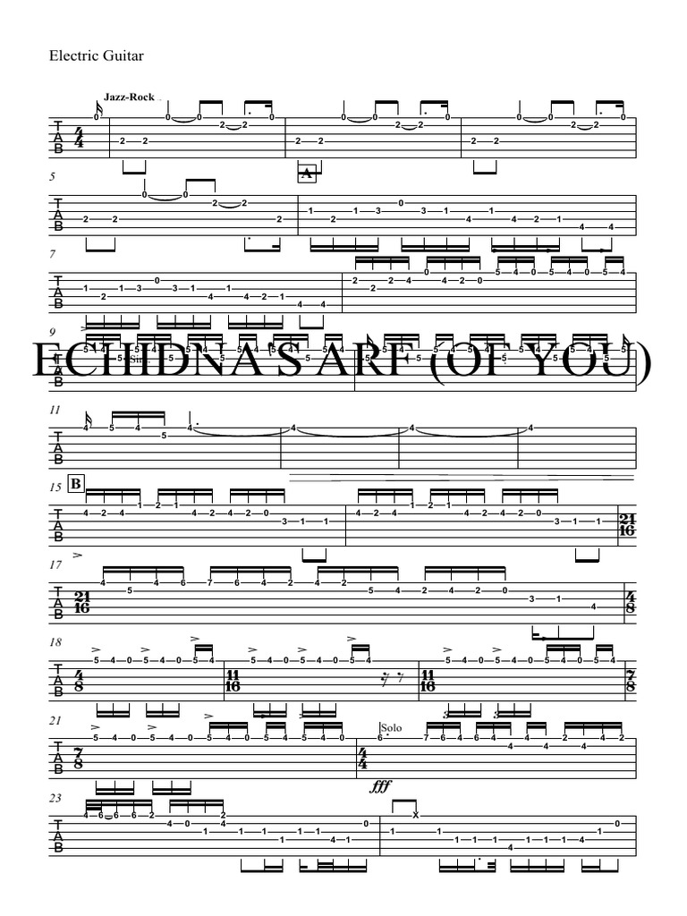 Echidnas Arf - Electric Guitar | PDF | Musical Instruments | Popular Music