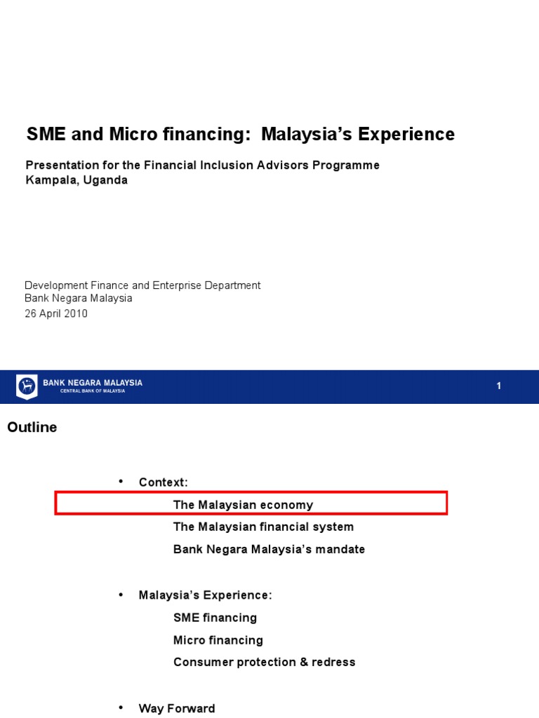 SME and Micro Financing: Malaysia's Experience | PDF | Financial ...