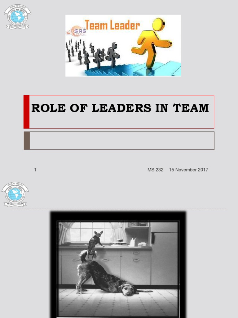 Role of Team Leader | PDF | Mentorship | Leadership