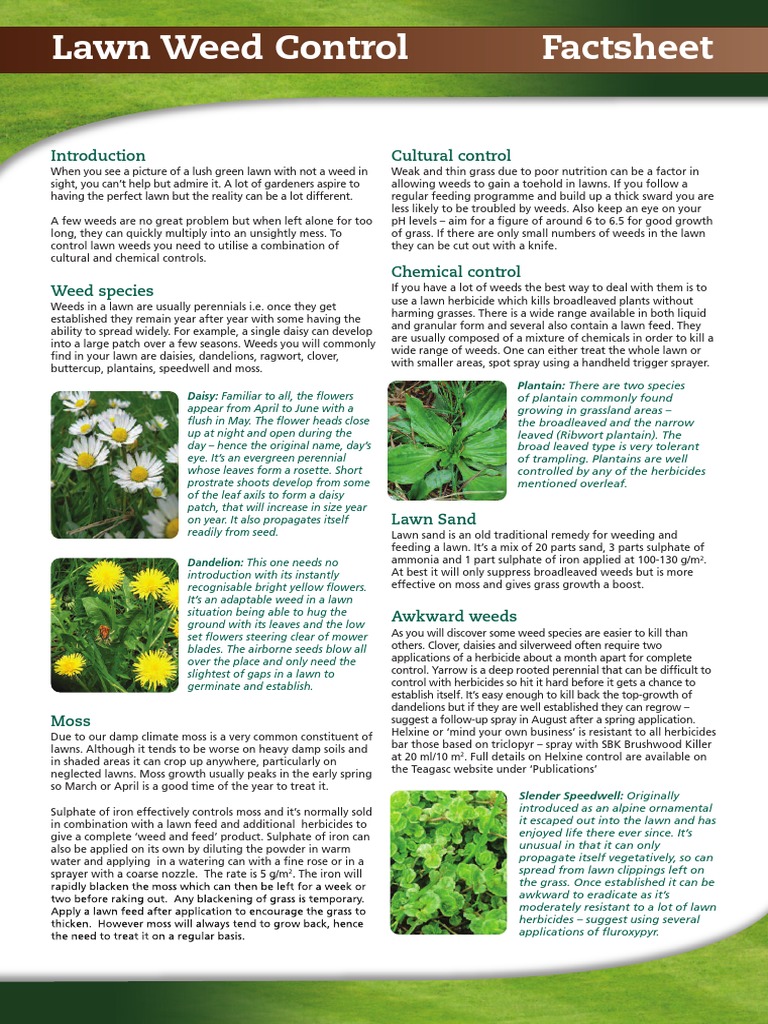 Lawn Weed Control Factsheet 2015 | PDF | Herbicide | Weed