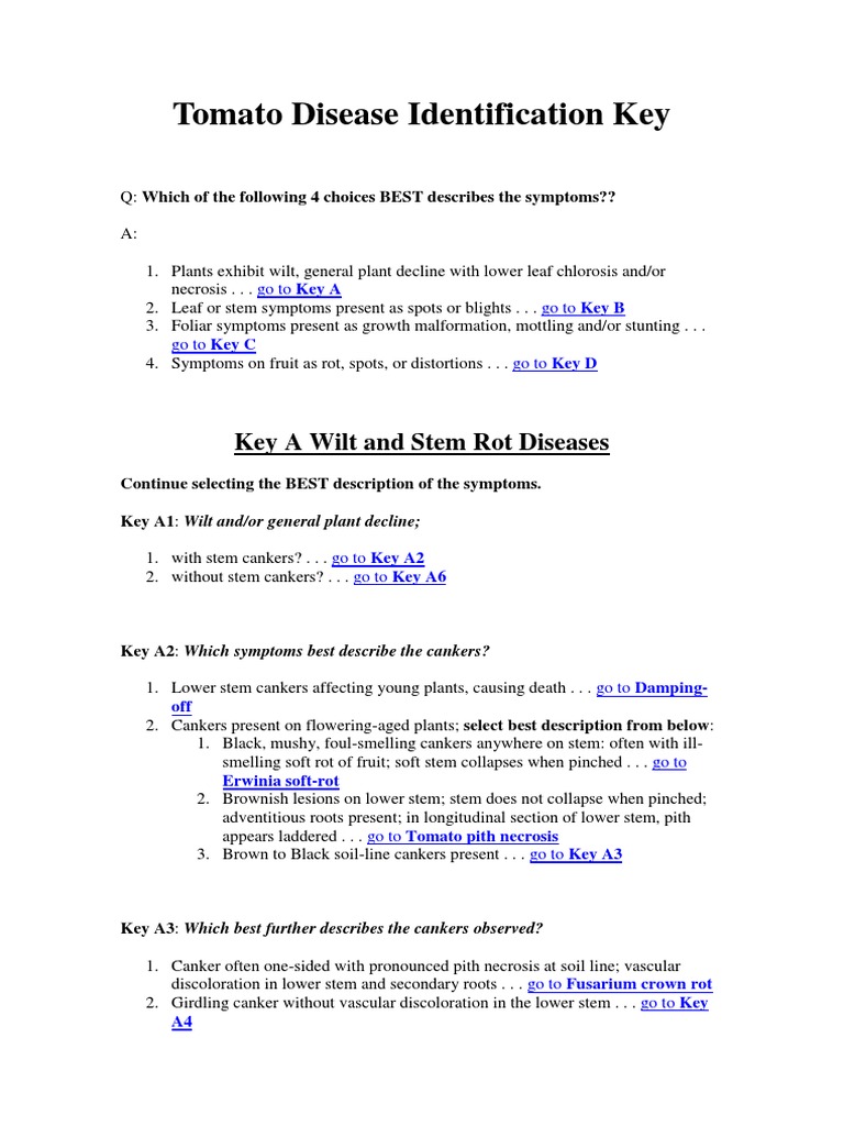 Tomato Disease Identification Key | PDF | Tomato | Plant Stem