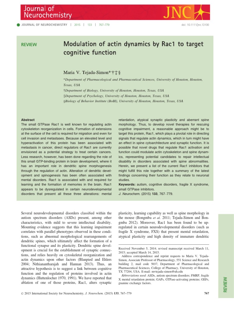 Tejada Simon - Modulation of Actin Dynamics by Rac1 To Target Cognitive ... Tejada Simon - Modulation of Actin Dynamics by Rac1 To Target Cognitive ...