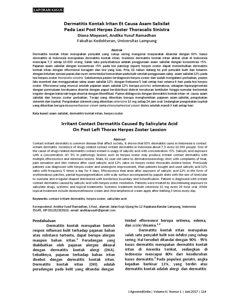 Dermatitis Kontak Iritan Et Causa | PDF