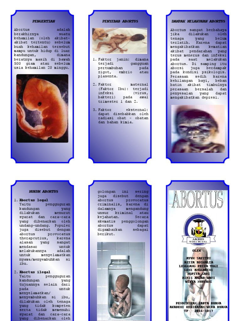 Abortus Leaflet | PDF