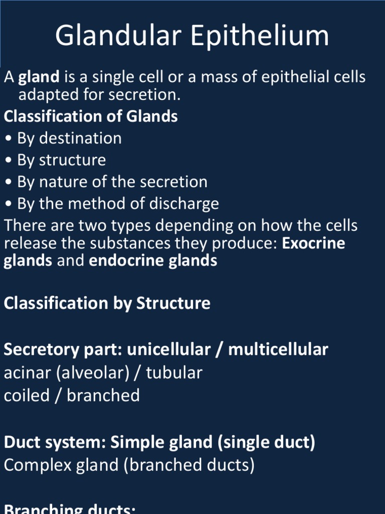 Glandular Epithelium: Types & Functions | PDF | Glands | Cell Membrane
