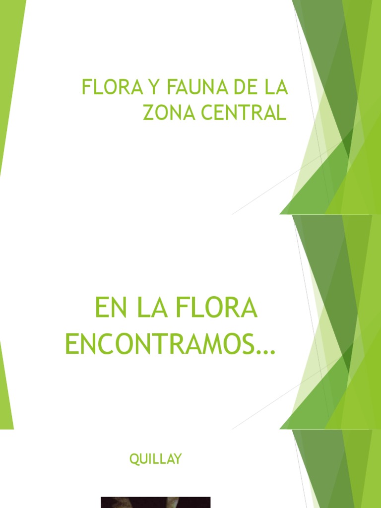Flora y Fauna de Zona Central | PDF