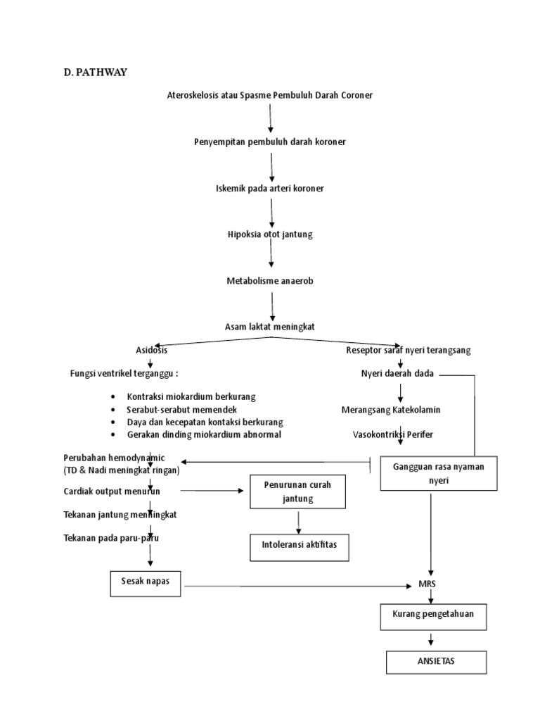 Pathway Penyakit Jantung Koroner | PDF