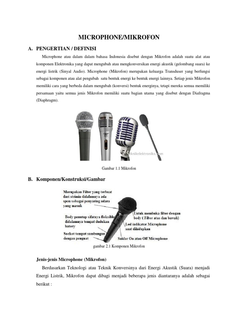 Microphone | PDF