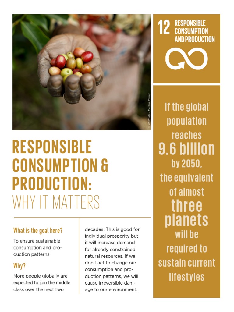 Consumption and Production Un | PDF | Sustainability | Natural Environment