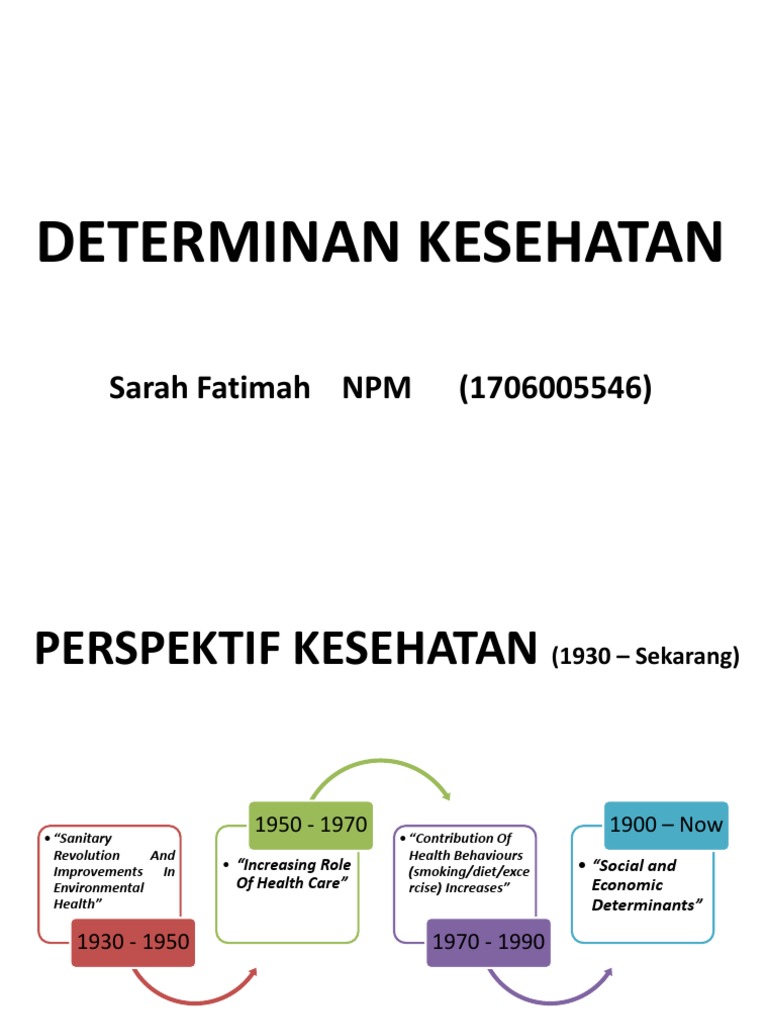Determinan Kesehatan Pdf