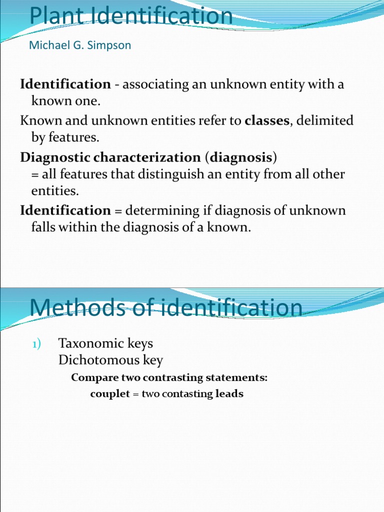 4 Plant Identification | PDF | Plants | Plant Morphology