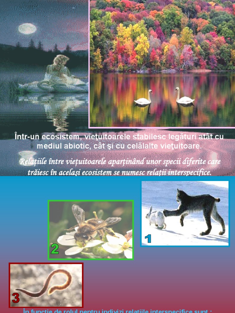 Relatii Interspecifice, Competitia | PDF