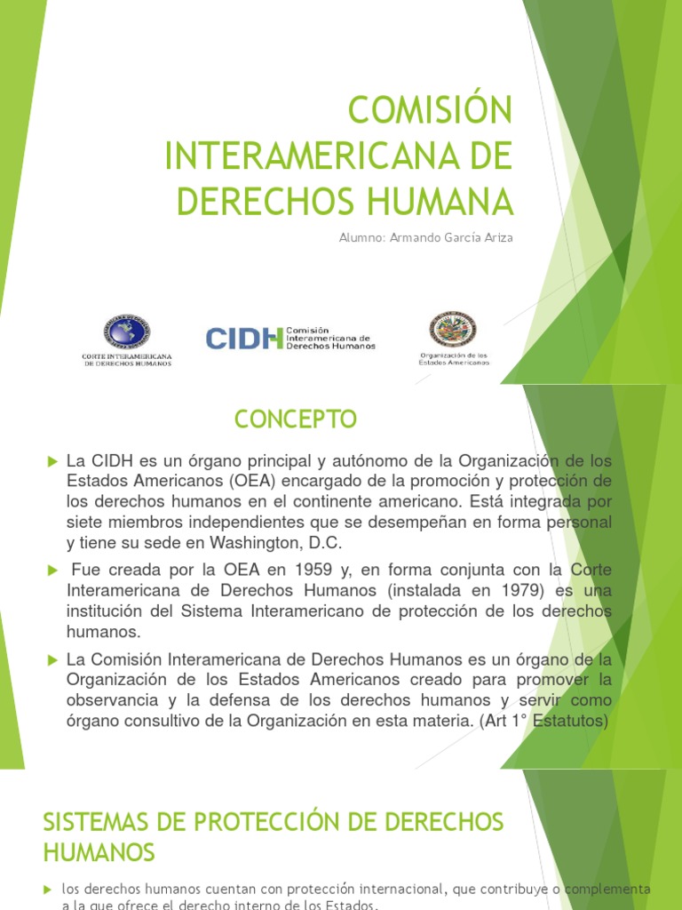 Comisión Interamericana de Derechos Humanos | Comisión Europea | Gobierno