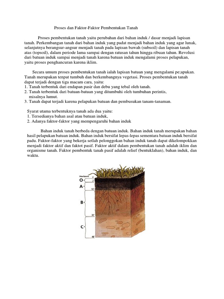 Proses dan Faktor Pembentukan Tanah | PDF | Sains & Matematika