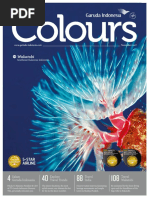 Verra Registry User Guide | PDF | Invoice | Documentation